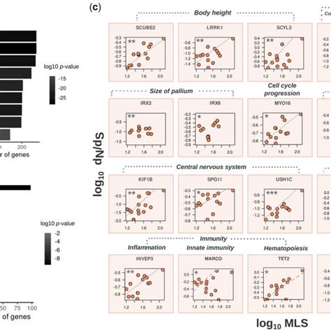 Examples Of Genes Whose Evolution Correlated With The Evolution Of Mls Download Scientific