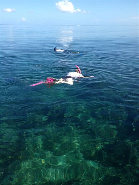 Diving In The Bay Of Trujillo Njoi Trujillo