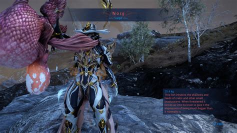 So Fibonacci Is A Norg Anyone Else Already Notice This 🤔 Rwarframe