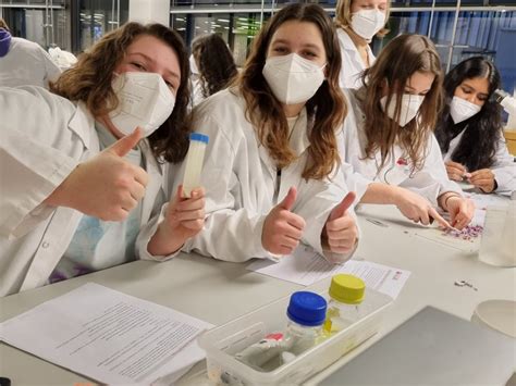 Modul Im Vienna Open Lab