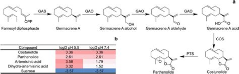 Biosynthetic Pathway Of Parthenolide And Partitioning Coefficient Of