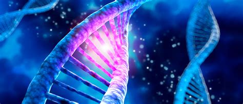 Are All Mrd Assays Created Equal Understanding Ctdna Testing And How