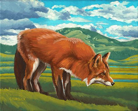 Red Fox Chris Turbuck