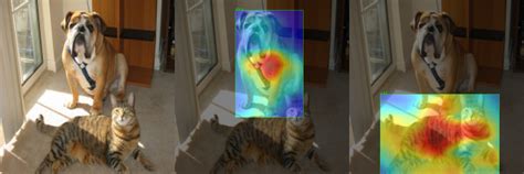 Visualizing Yolov5s Layers Using Gradcam Pythonrepo