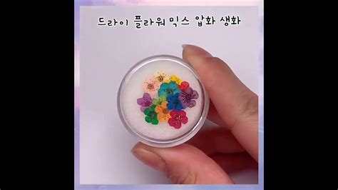 🌈네일스탬프와 생화를 이용한 초간단 생화네일 만들기🌸 Youtube