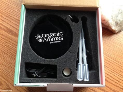 Nebulizing Diffusers Versus Ultrasonic Diffusers Which Is Better Live Love Fruit