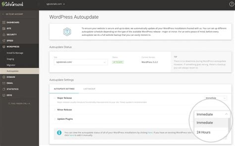 How To Update Wordpress Plugins From Cpanel Themewaves