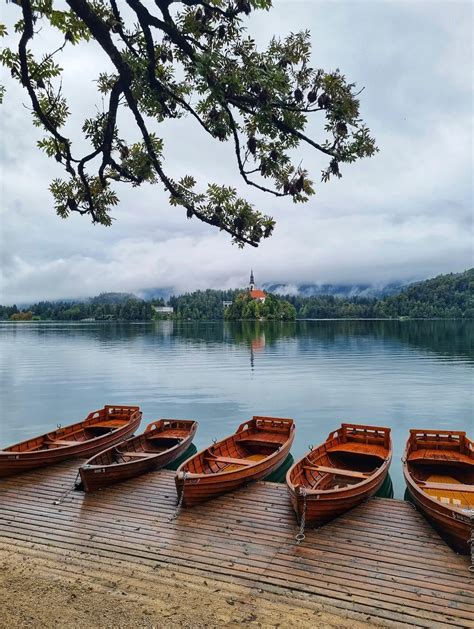 Carl Jung — You Are Not What Happened To You By Thomas Oppong Personal Growth Medium