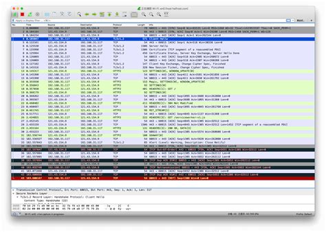 HTTPS 温故知新三 直观感受 TLS 握手流程 上