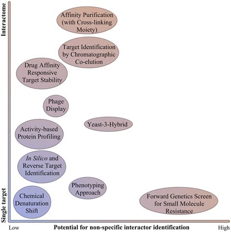 Schematic Representation Of Target Identification Strategies Target Download Scientific