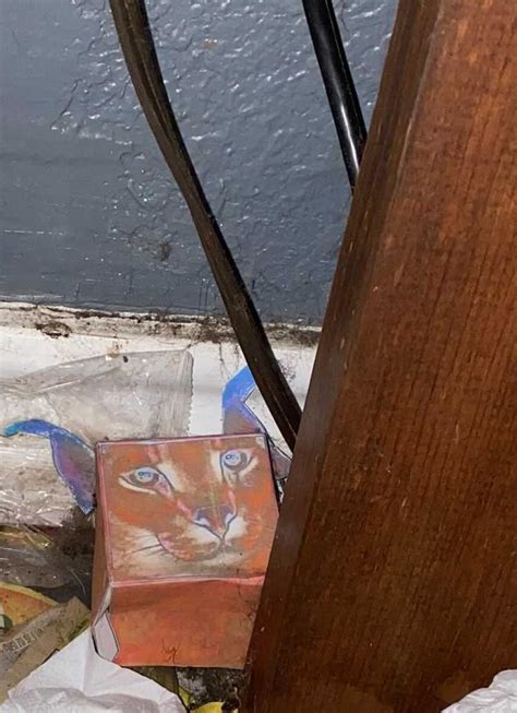 Punished Floppa 19 Months Into Pandemic And Hecker Scourge Also Rising Rbigfloppa