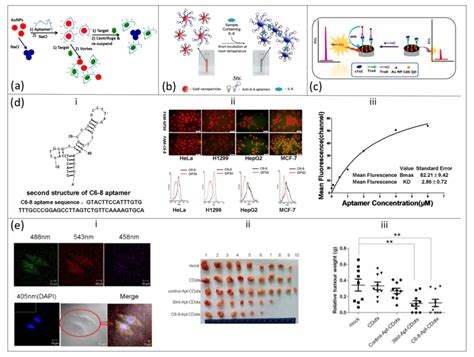 Application Of Aptamer Gold Nanoparticles Aunpsquantum Dots Download Scientific Diagram