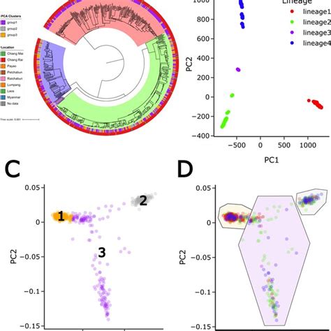 Population Structure Analysis Using M Tuberculosis And Human Download Scientific Diagram