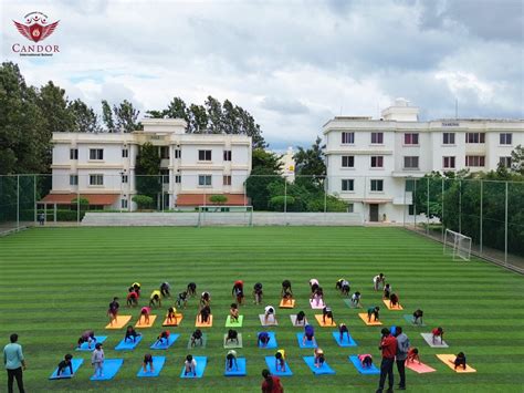 Candor International School Part 8 12th Annual Sports Day Triumph