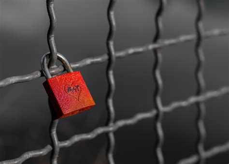 무료 이미지 울타리 다리 여름 애정 심장 난간 빨간 로맨스 낭만적 인 우정 검은 맹꽁이 자물쇠 닫다 그리드 운 헤르 첸 감정 캐핑 사랑의