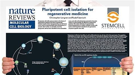 Pluripotent Stem Cell Reprogramming Wallcharts Stemcell Technologies