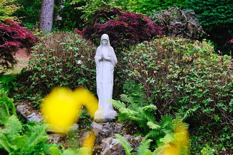 성공회 남양주교회 아침기도 자비로우신 주님 당신은 목마른 이에게 샘물을 배고픈 이에게 만나를