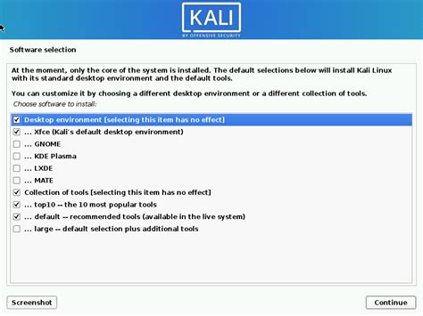 Kali Linux Fresh Installation Guide