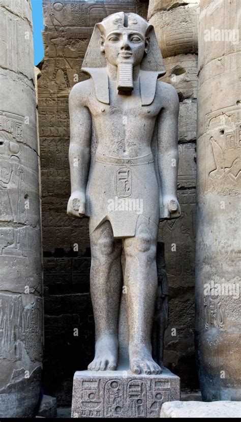 Dr Sam Youssef Ph D M Sc Dpt On Twitter صور لاخر احفاد سلالة العمالقة للبشر والتى كانت تسود