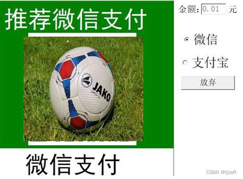 试用笔记之 Delphi Xe 微信支付宝支付源代码delphi微信支付宝聚合支付 Csdn博客