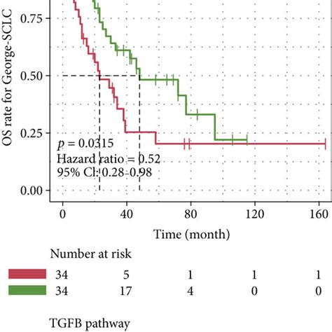 Effect Of Transforming Growth Factor β Signaling Pathway Activation