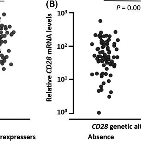 Correlations Of Cd28 Messenger Rna Mrna Levels Cd28 Protein