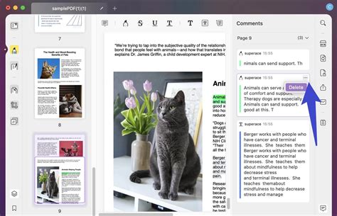 How To Remove All Highlights In PDF On Mac Step By Step UPDF