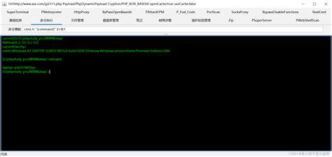 webshell及工具 csdn博客