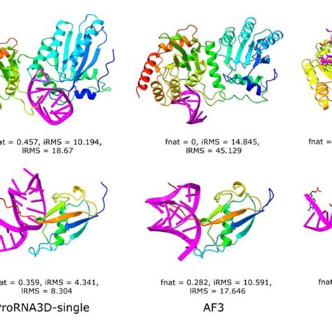 A Representative Example Of Protein Rna Complex Structure Prediction