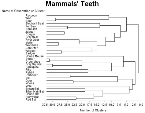 Proc Tree Mammals Teeth Sasstatr 922 Users Guide