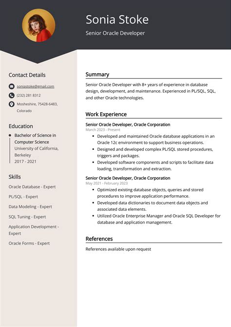 Senior Oracle Developer Resume Examples Template And 20 Tips