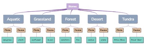 What Is A Thinking Map Types And Examples