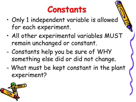 PPT Variables Constants And Controls PowerPoint Presentation Free Download ID