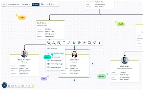 Org Chart Usability Updates Enhanced Database Cards Improved Shape Customization Svg Exports