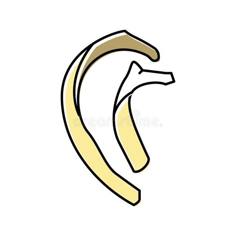 Rib Bone Color Icon Vector Illustration Stock Vector Illustration Of Hand Chest 248154650