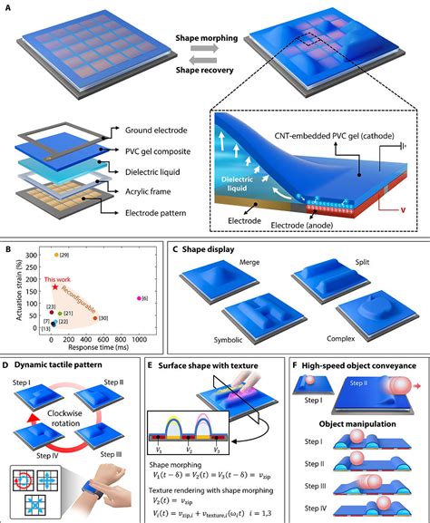 Dynamically Reconfigurable Shape Morphing And Tactile Display Via Hydraulically Coupled