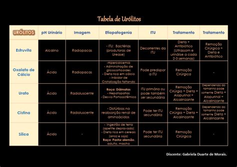 Tabela Dos Urólitos Medicina Veterinária Pdf Especialidades Médicas