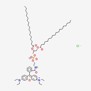 DSPE-Rhodamine B | C69H111ClN3O10P | CID 172946154 - PubChem