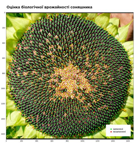 Агробізнес Kernel використовує штучний інтелект для автоматизації польового моніторингу Kernel