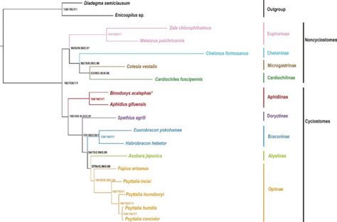phylogenetic trees inferred from bayesian inference and download