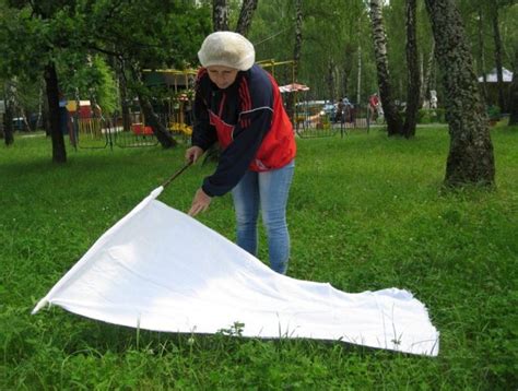 Как избавиться от клещей на участке?