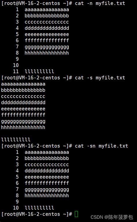 linux（基本指令） csdn博客