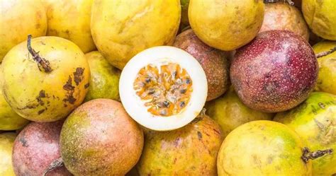 Fakta Unik Markisa Buah Asal Brazil Yang Kaya Antioksidan