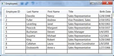 Mastering WPF DataGrid In A Day Hour CRUD Using DataGrid