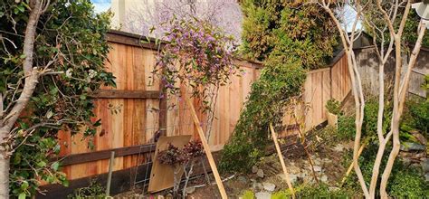 Fence Lifespans How Long Each Fence Type Lasts