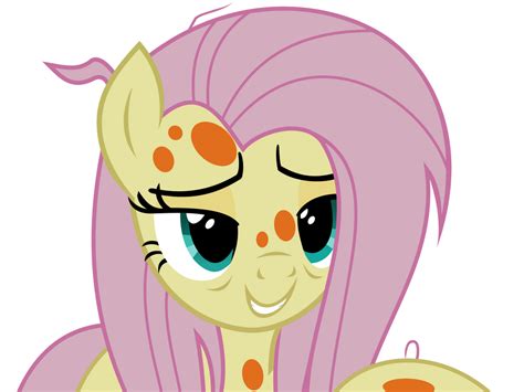 Mlp Vector Fluttershy 3 By Jhayarr23 On Deviantart