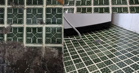 친환경 화장실청소 홈케어 청소전문가 키다리아저씨 숨고 숨은고수 친환경 화장실청소 홈케어 청소전문가 키다리아저씨 숨고 숨은고수