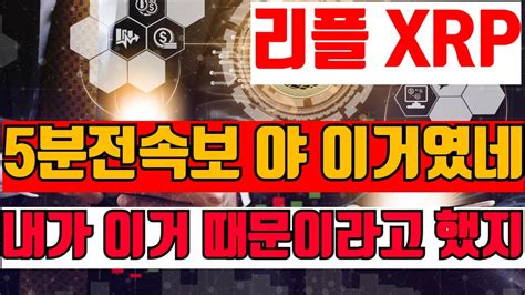 리플 5분전 속보 야 이거였구나 내가 이거 때문이라고 했지리플 Xrp Youtube