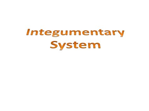 Comparative Anatomy Of Integumentary System Ppt
