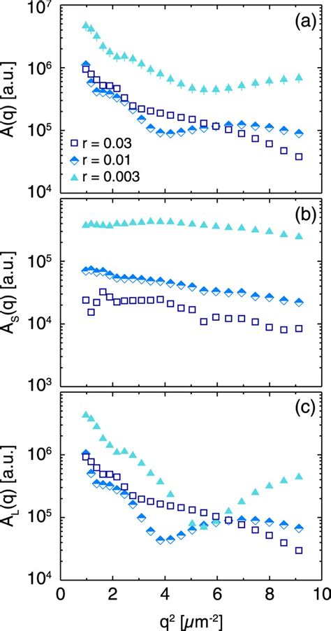 Differential Dynamic Microscopy Of Bidisperse Colloidal Suspensions